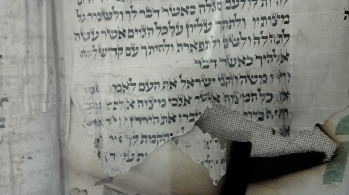 The Mystery of the Wrapped Pei — By Devorah | Six Degrees Of Kosher Bacon